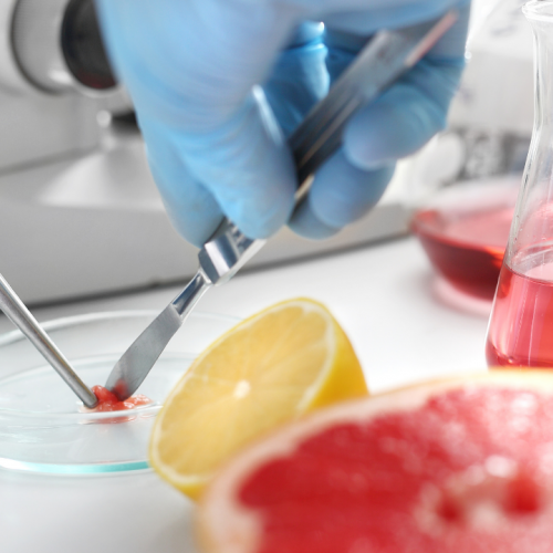 Food Testing Lab in Chennai | Food Laboratory | Sasaam Biologicals Labs